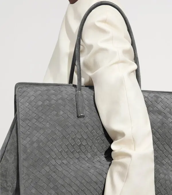 Bottega Veneta Large Suede Barbara Tote Bag