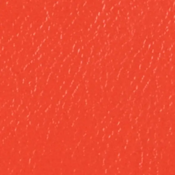 Loewe X Cosima Von Bonin Lambskin Claw Card Holder