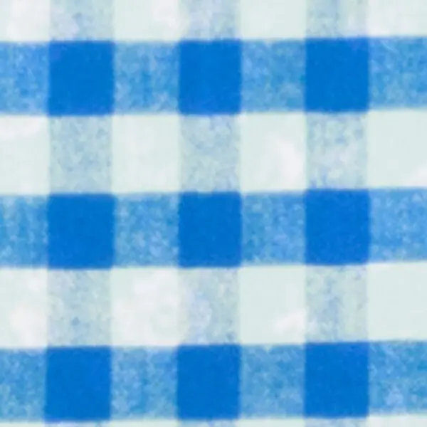 Loewe X Cosima Von Bonin Reversible Silk Scarf