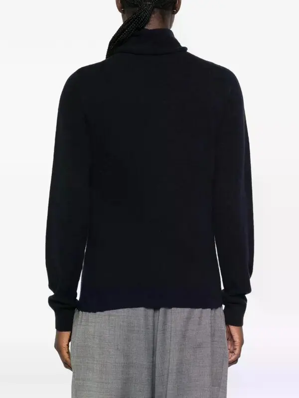 Peserico Roll-neck Silk-blend Sweater