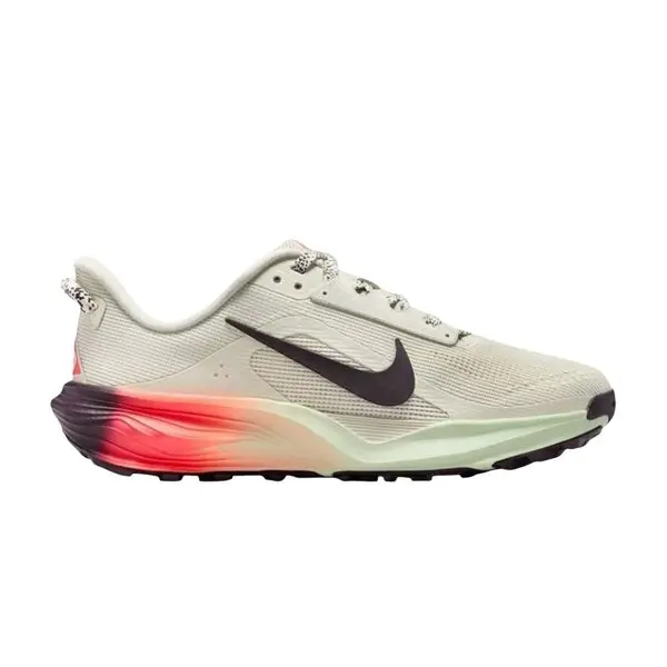 Nike Pegasus Trail Sneakers - Silver