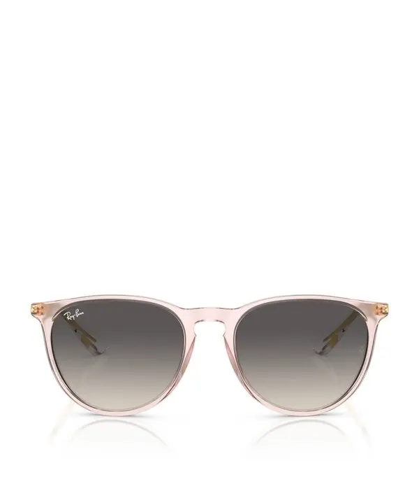 Ray-ban Erika Classic Phantos Sunglasses - Pink