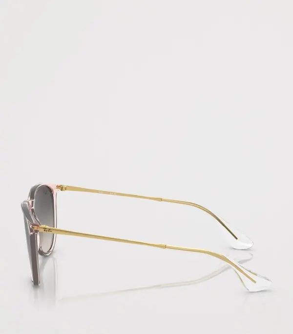 Ray-ban Erika Classic Phantos Sunglasses