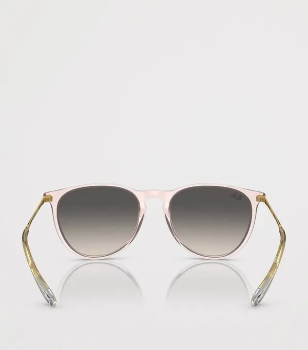 Ray-ban Erika Classic Phantos Sunglasses