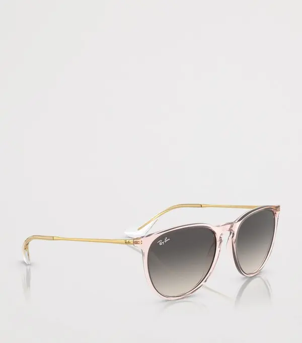 Ray-ban Erika Classic Phantos Sunglasses