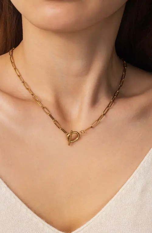 MINT & LILY Toggle Clasp Paperclip Chain Necklace