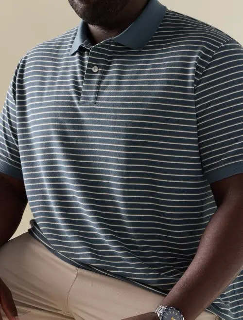 HARBOR BAY BY DXL Big & Tall Tri-color Striped Polo Shirt V2