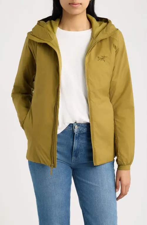 Arc'teryx Atom Hoody