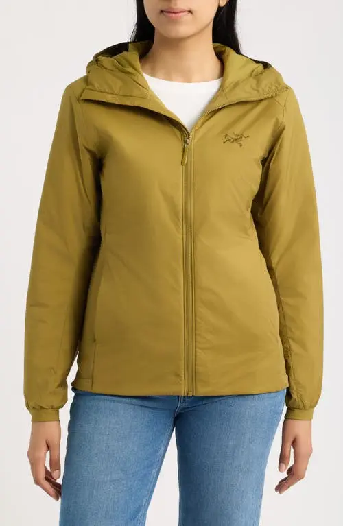 Arc'teryx Atom Hoody