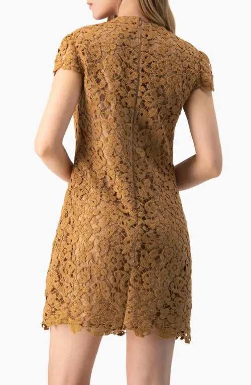 IVONNE Guipure Lace Cap-sleeve Shift Dress