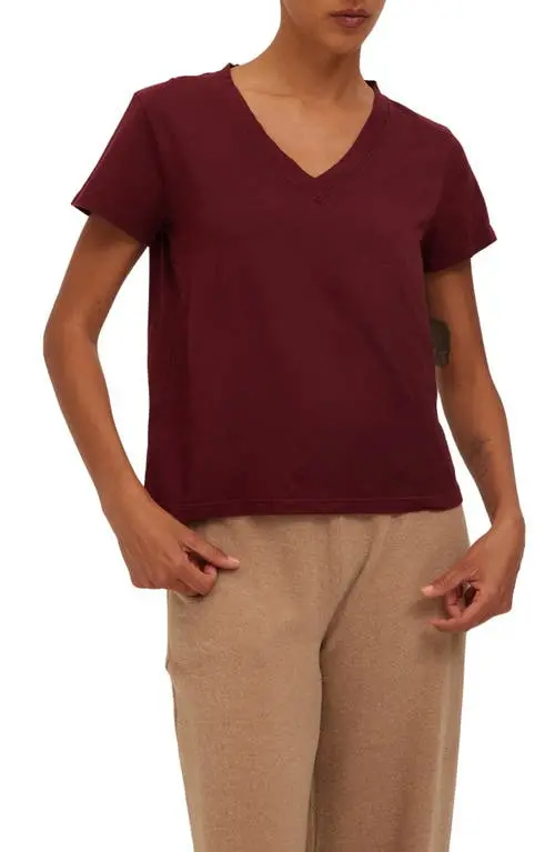 PROJECT SOCIAL T V-neck T-shirt - Dark Cherry