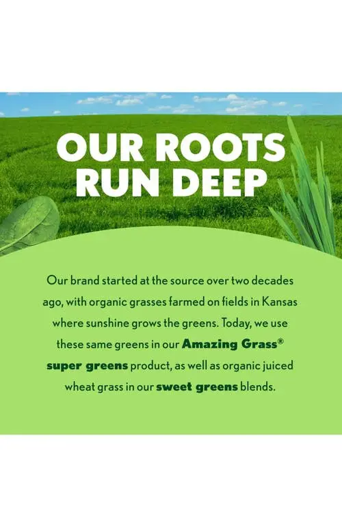 AMAZING GRASS Greens Blend Superfood Powder Original 1.76 Lb