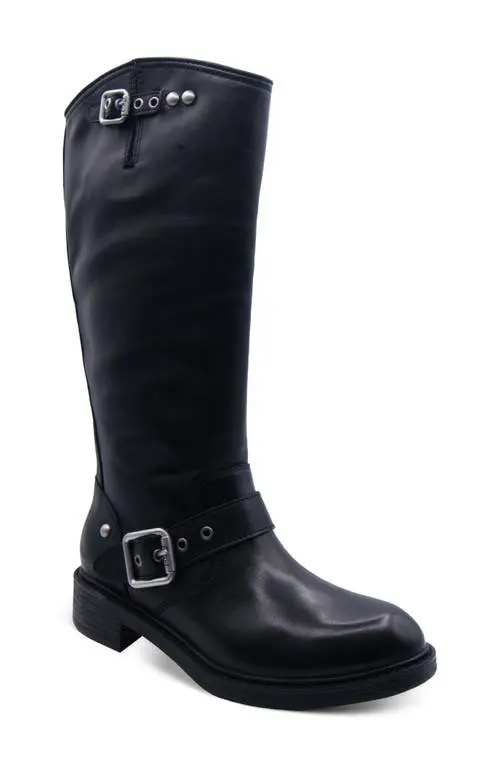 Ash Freesia Suede Buckled Tall Boots - Black
