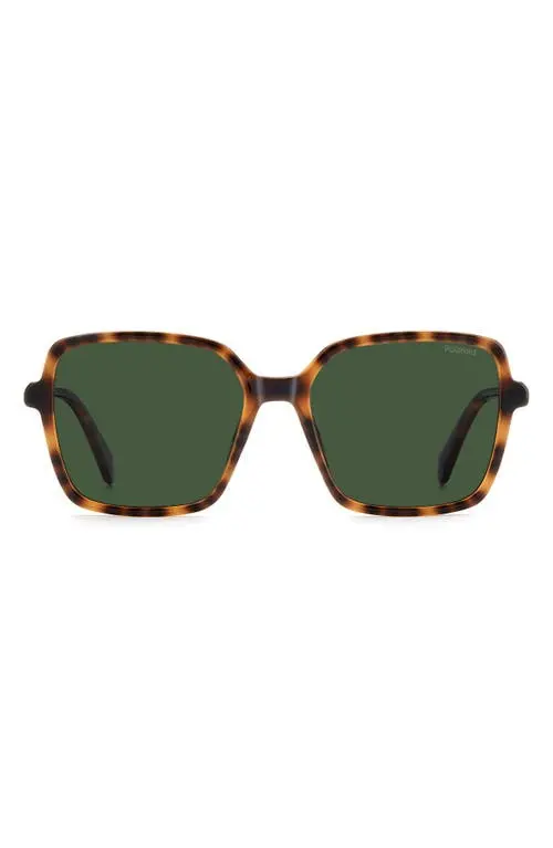 POLAROID Square Frame Sunglasses - Havana/green Pz