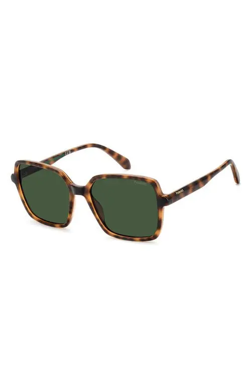 POLAROID Square Frame Sunglasses - Havana/green Pz