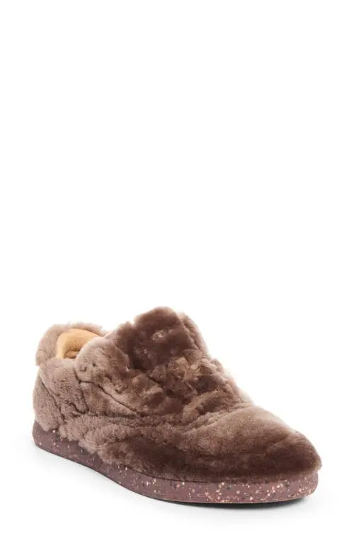 Gabriela Hearst Ohio Genuine Shearling Sneaker - Mocha