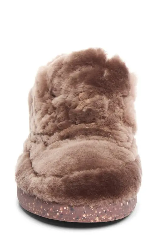 Gabriela Hearst Ohio Genuine Shearling Sneaker