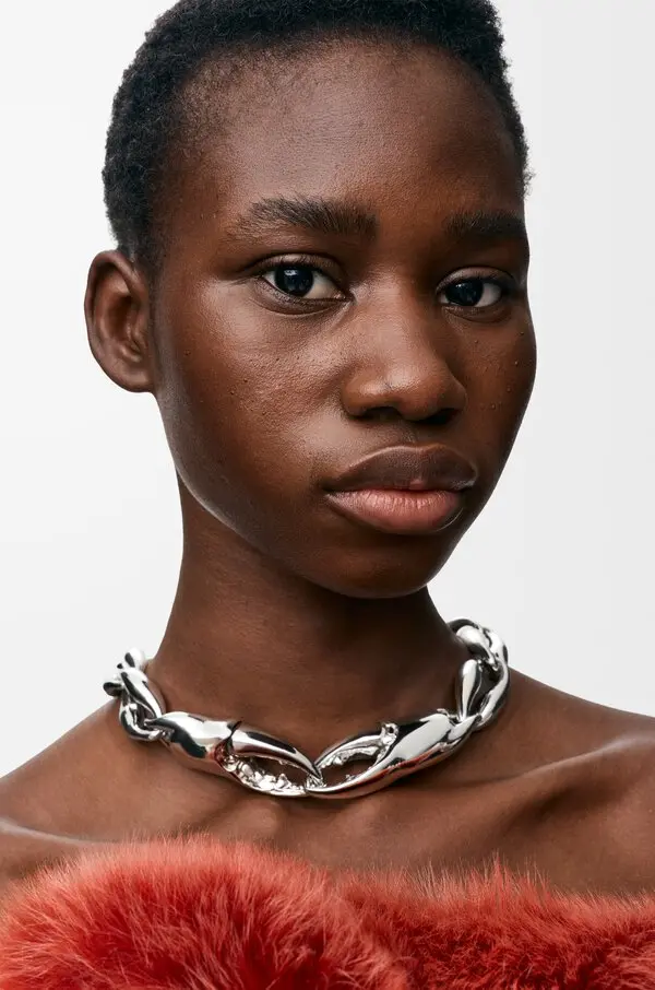 Loewe Claw Necklace - Silver