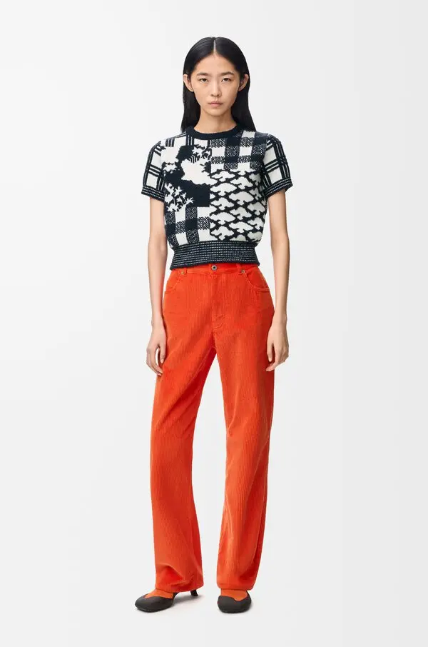 Loewe Short Sleeve Sweater In Wool - Navy/white