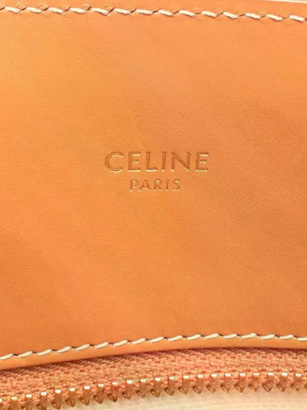 Celine 2010-2026 Small Canvas Vertical Cabas Satchel