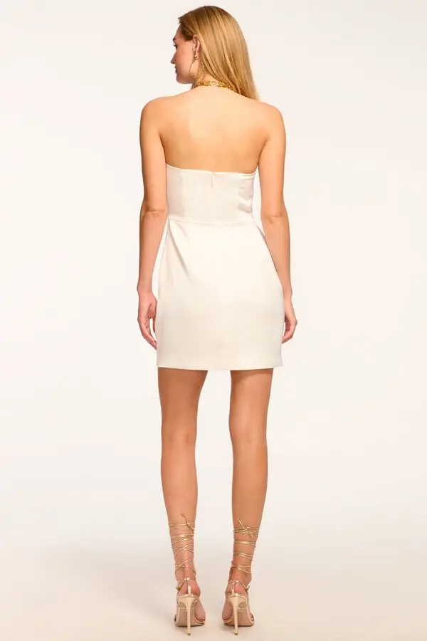 Ramy Brook Orion Strapless Mini Dress
