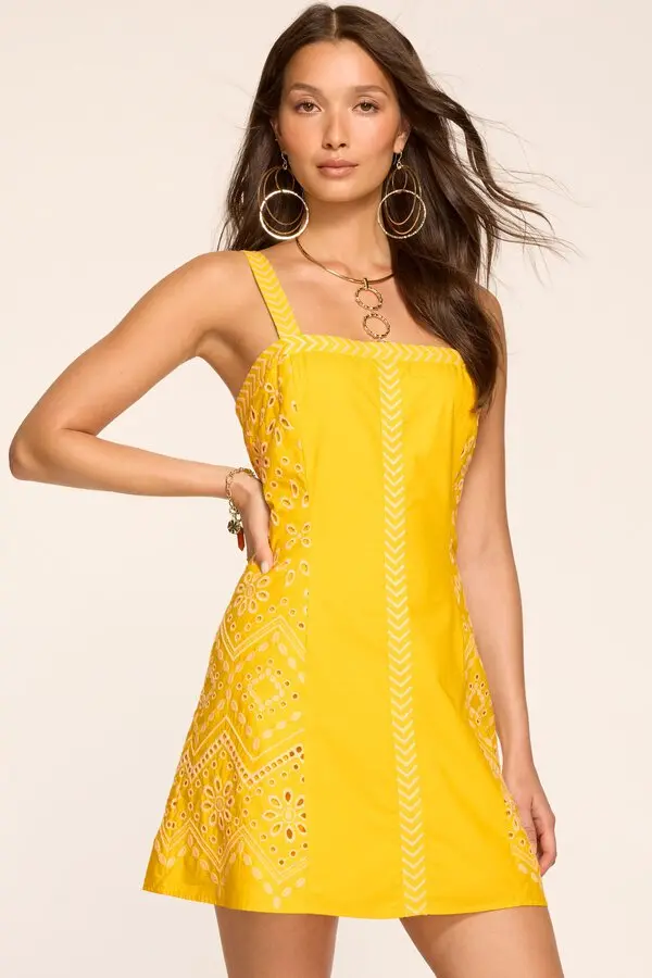 Ramy Brook Fawn Embroidered Mini Dress