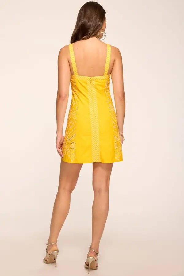 Ramy Brook Fawn Embroidered Mini Dress