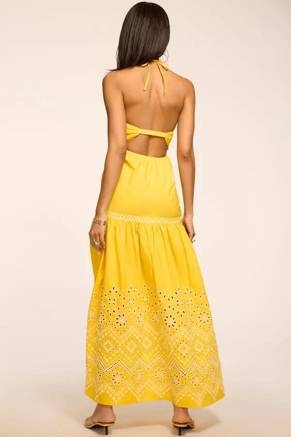 Ramy Brook Amaris Embroidered Maxi Dress