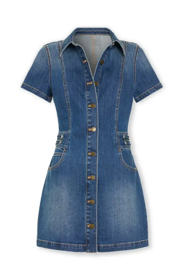 Ramy Brook Liv Button Down Denim Mini Dress