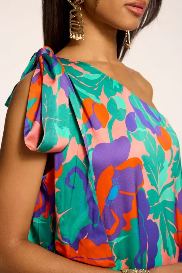 Ramy Brook Benita Printed One-shoulder Gown