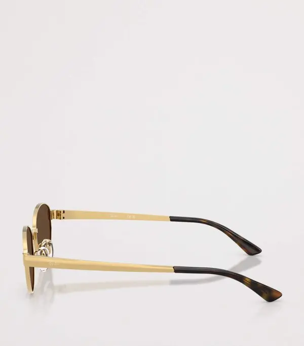 Ray-ban Metal Oval Sunglasses