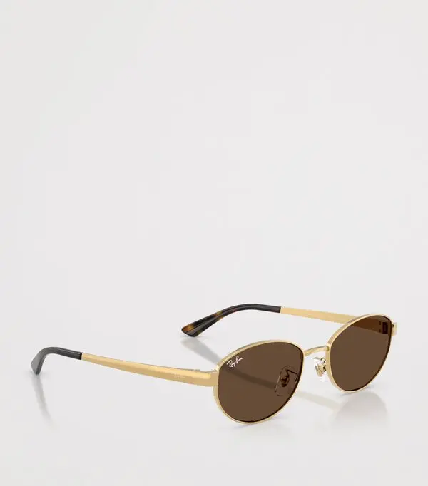 Ray-ban Metal Oval Sunglasses
