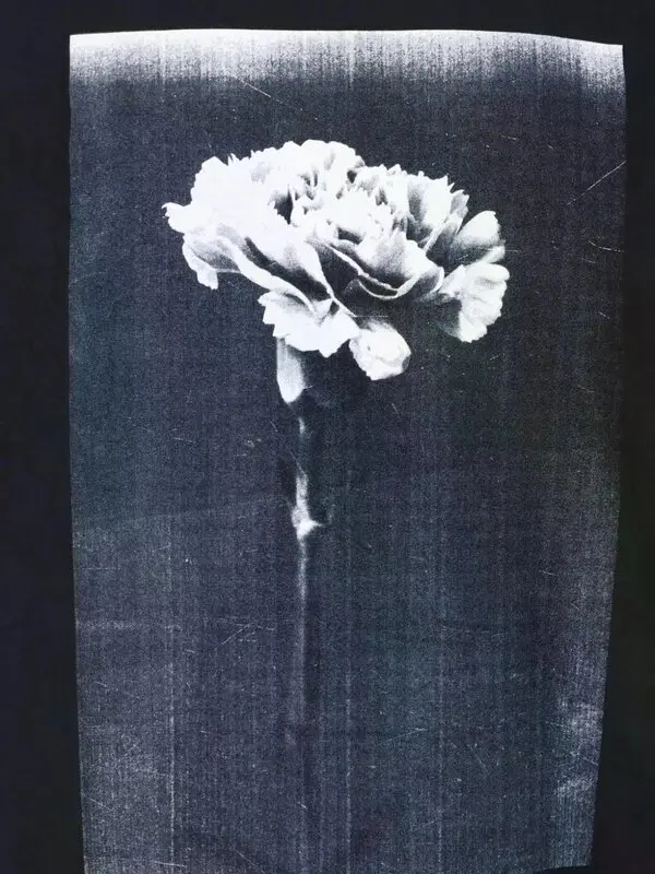 Balenciaga The Song Of The Highest Tower Flower-print T-shirt - Black