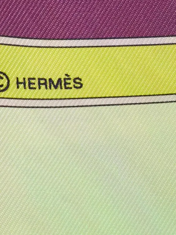 Hermès Camails Twilly Scarf