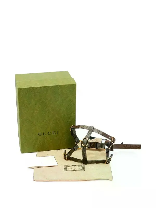 Gucci Logo-detail Pet Harness - Brown