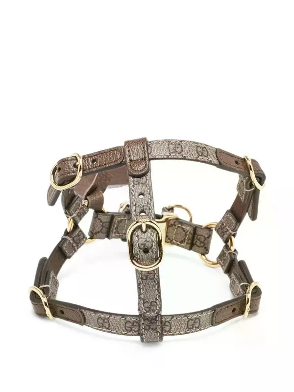 Gucci Logo-detail Pet Harness