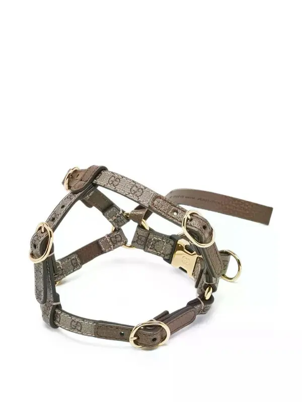 Gucci Logo-detail Pet Harness