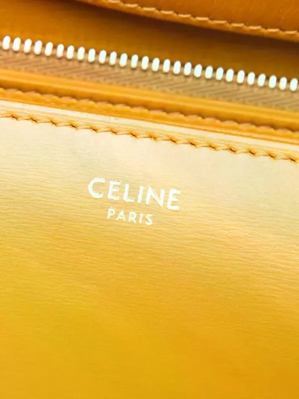 Celine 2019 Medium Calfskin Classic Box Crossbody Bag