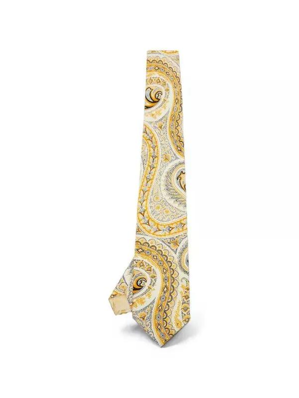 Gianfranco Ferre Paisley Print Neck Tie