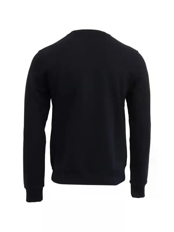 Dior X Kaws Sweatshirt