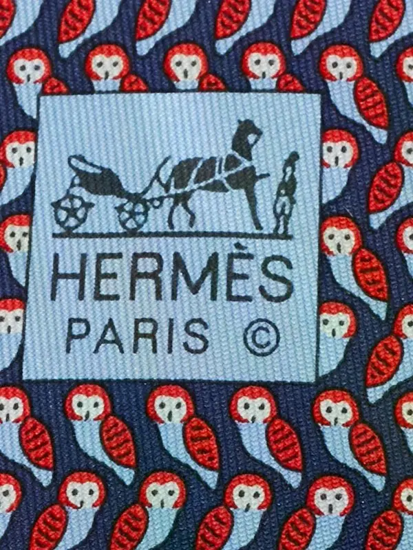 Hermès Chouette Pattern Silk Neck Tie - Blue