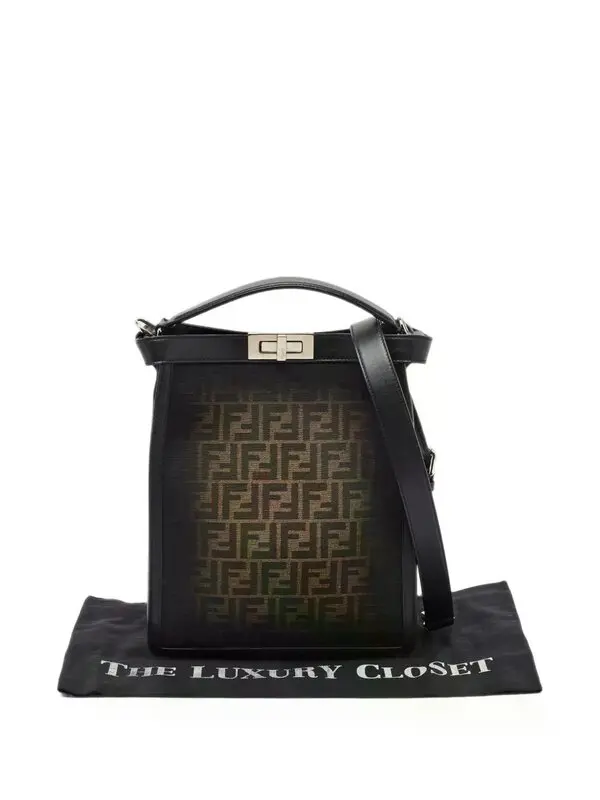 Fendi 2023 Peekaboo X Lite Fit Ombre Tote Bag