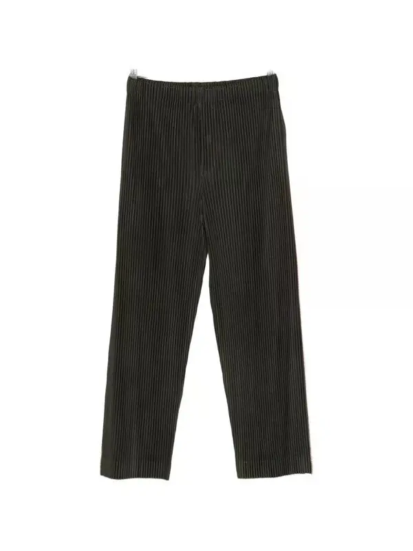 Issey Miyake Pleated Trousers With Side Stripe Detail - Brown