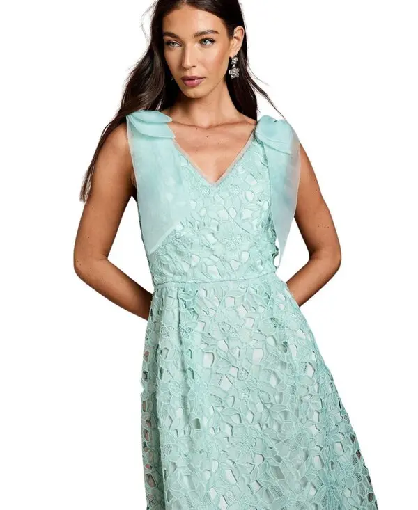 Coast Organza Lace Dress - Mint