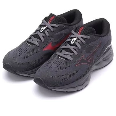 Mizuno Wave Serene Gtx 'all
