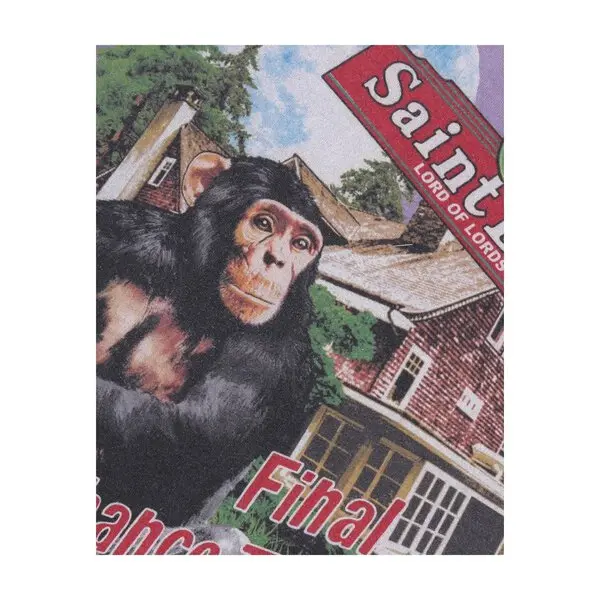 A BATHING APE X Saint Mxxxxxx T-shirt