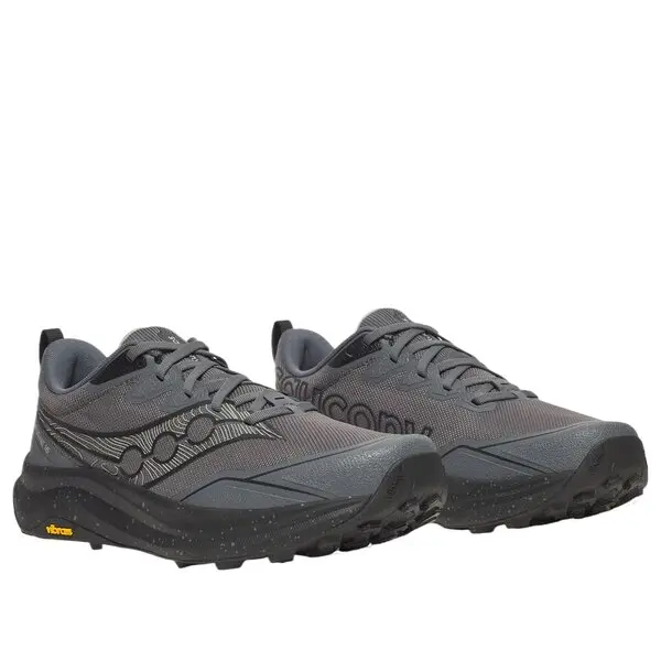 Saucony Peregrine 16 Gtx Sneakers - Carbon/black