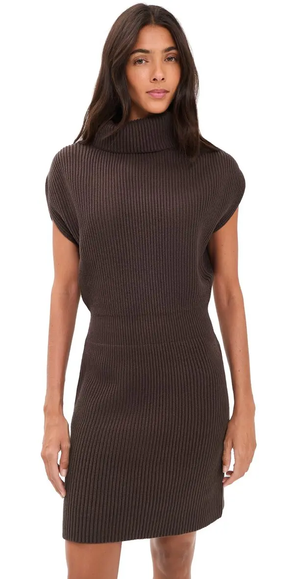 Splendid Marigold Mini Sweater Dress - Java
