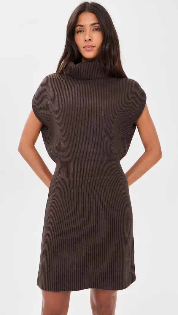 Splendid Marigold Mini Sweater Dress