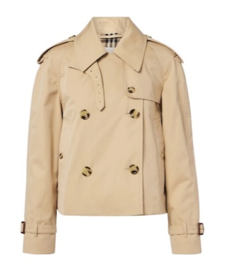 Burberry Classic Trench Coat